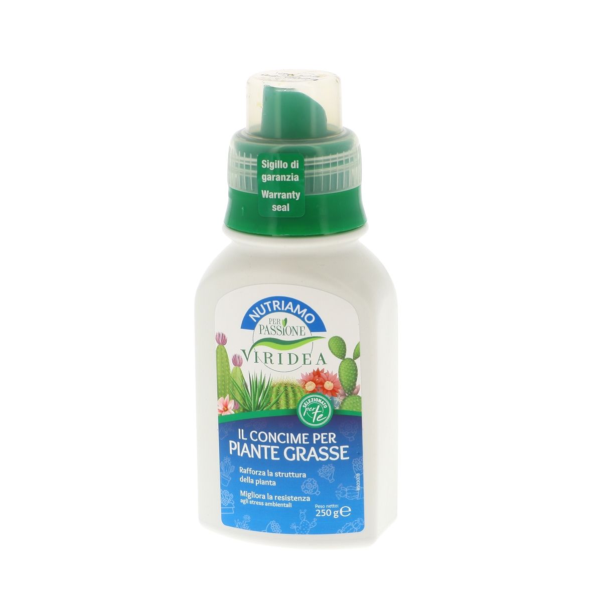 Piante da interno: sette consigli utili | VIRIDEA