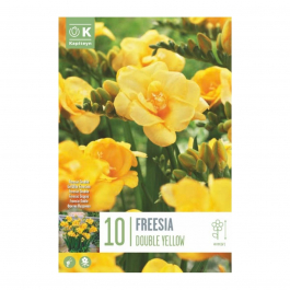 Bulbi di Freesia Double Yellow Kapiteyn 10 pz