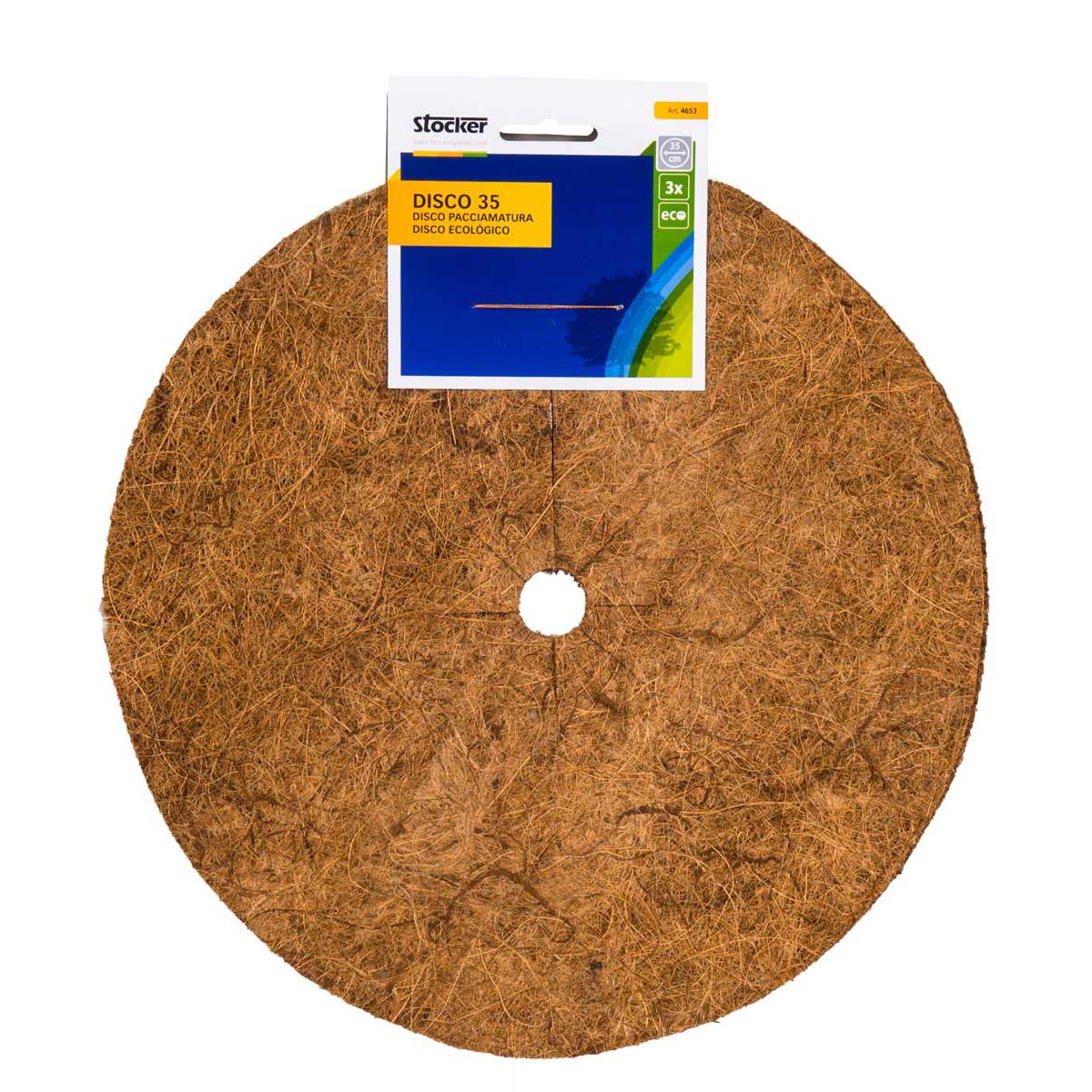 Osmanthus o Olea fragrans | VIRIDEA