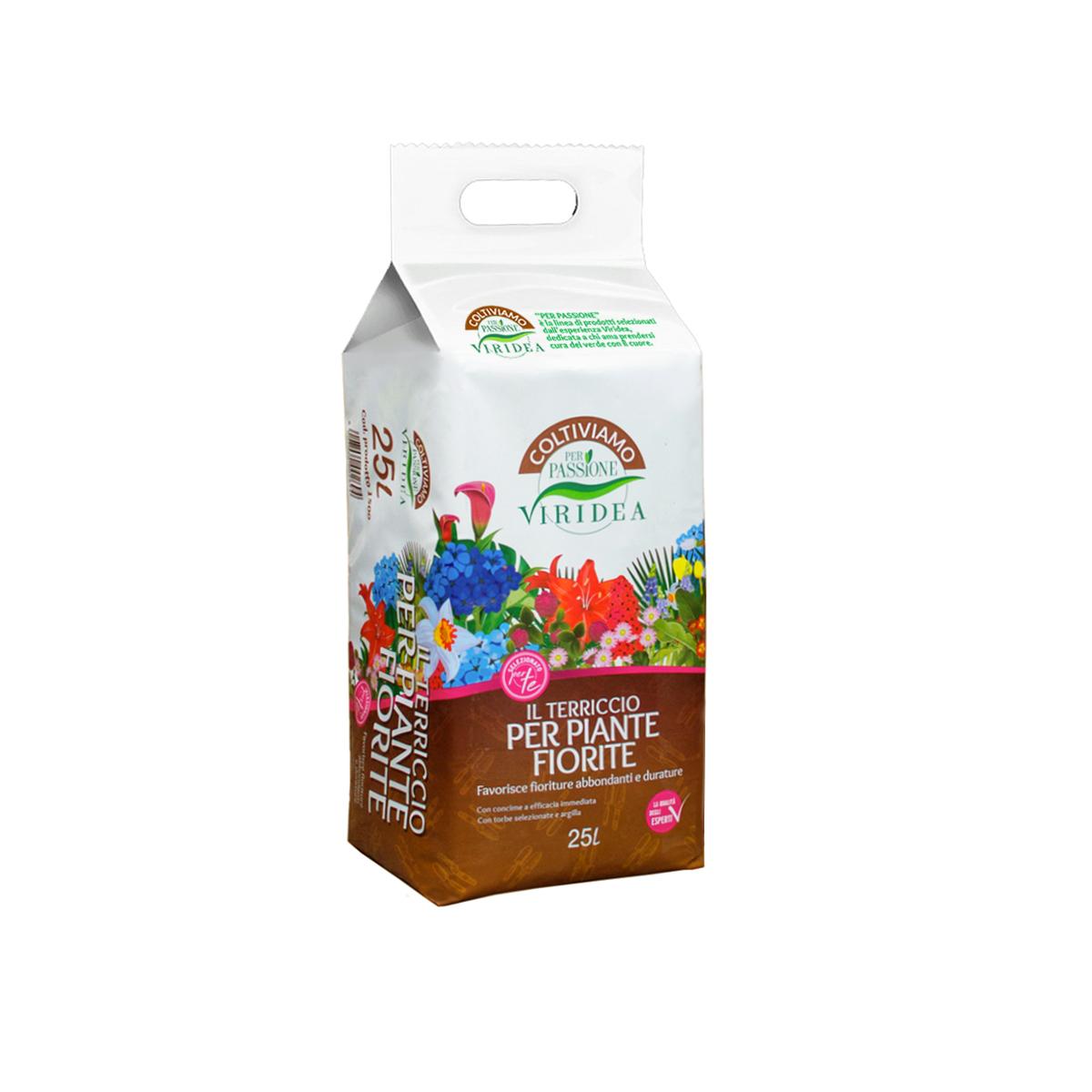 Orchidee da esterno, i Cypripedium | VIRIDEA